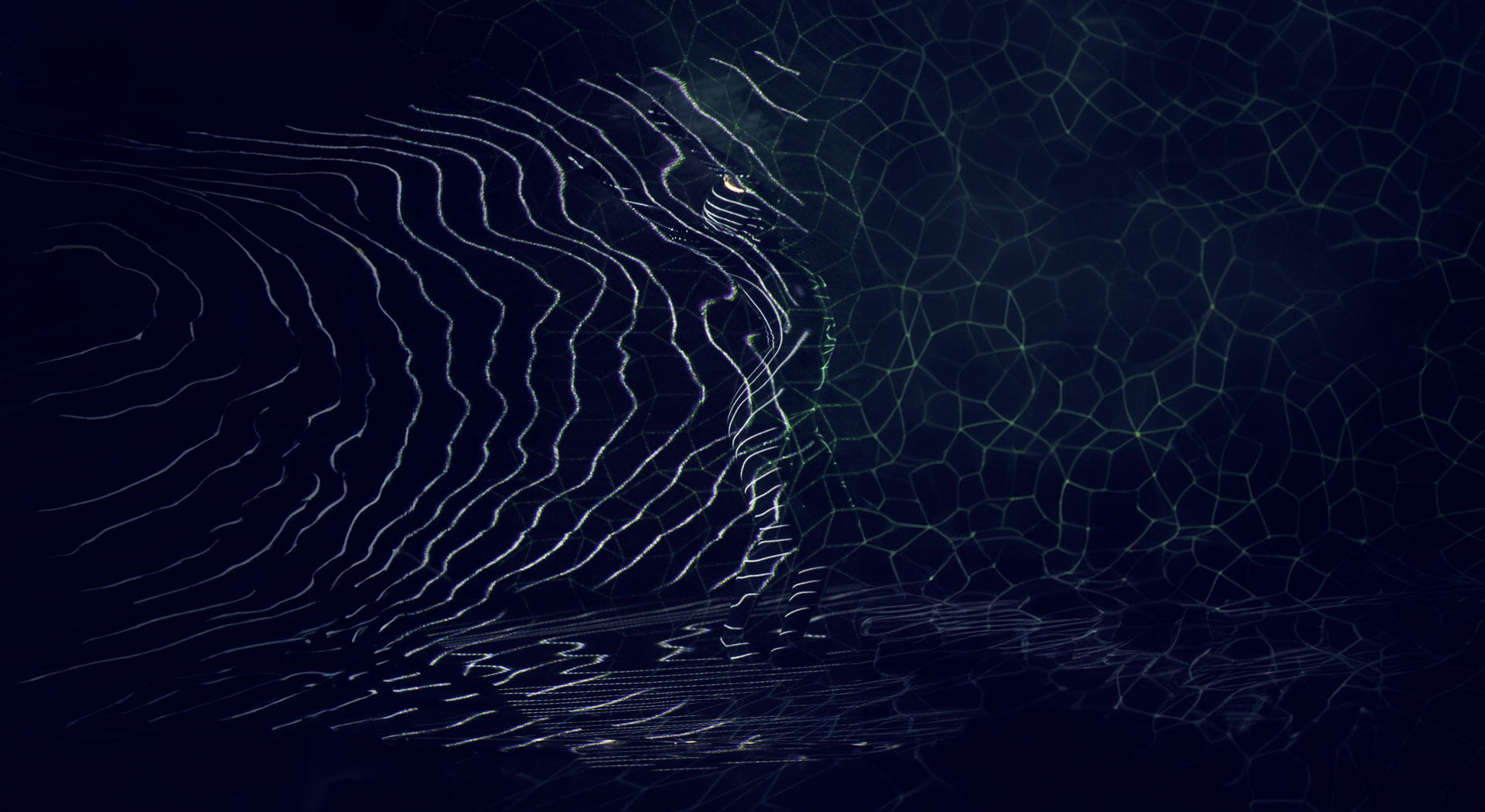 ABS People | Meet The Key Members of ABS Team